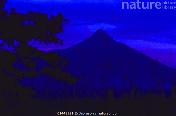 Stock photo of Dawn scenic of Mount Mikeno viewed from Tongo. An ...