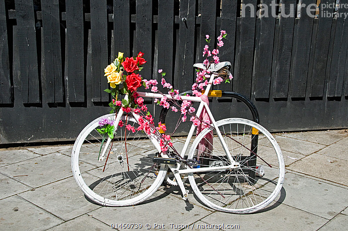 White bike with flowers store