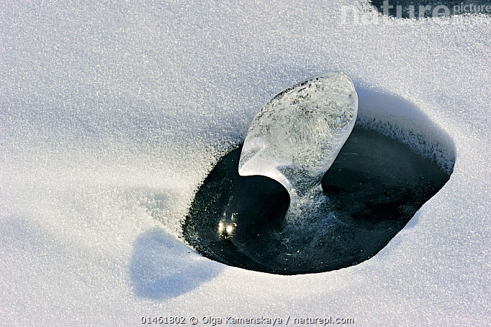 Stock photo of Ice vase / ice spike forming in hole in snow, Lake ...