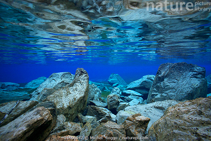 Worlds Prettiest Water Stock Photo Of Underwater View Of