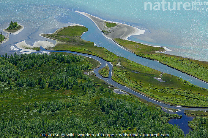 Stock photo of Aerial view of the Rapa river delta flowing into Lake ...