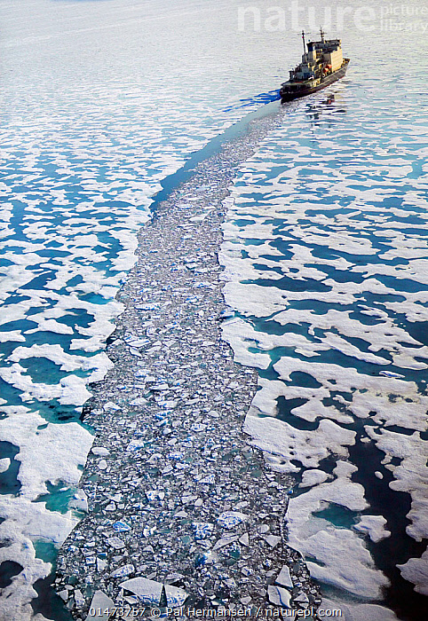 Stock photo of Aerial shot of ice-breaker 'Kapitan Dranitsyn' going ...