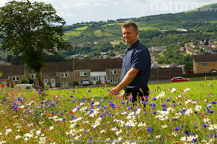 Stock photo of Steve Caddy, operations manager of 'Greenspace', looking ...