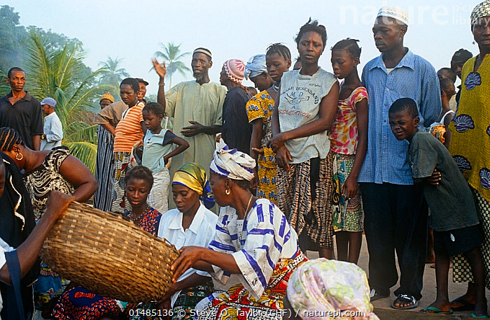 Stock photo of Port villagers awaiting river transport. Port Loko ...