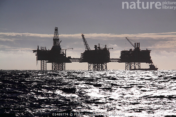 Stock photo of Silhouette of 'Buzzard' platform 40 miles Northeast of ...