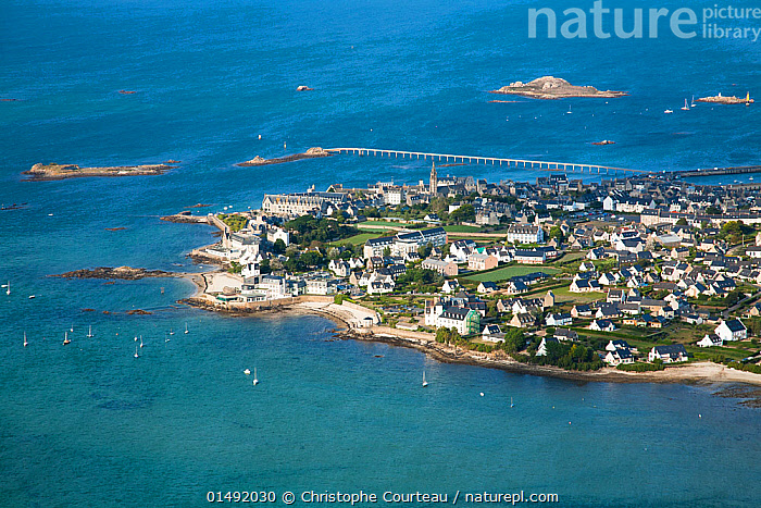 Stock photo of Aerial view of Roscoff town and harbour, Finistere ...