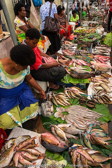 Stock photo of Mixed reef fish and octopus for sale, Suva Seafood ...