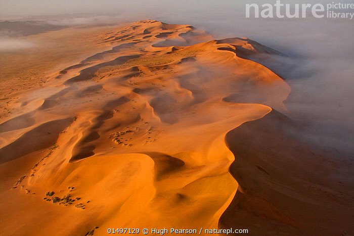 Stock photo of Aerial of fog over the Namib Desert, Namibia, September ...