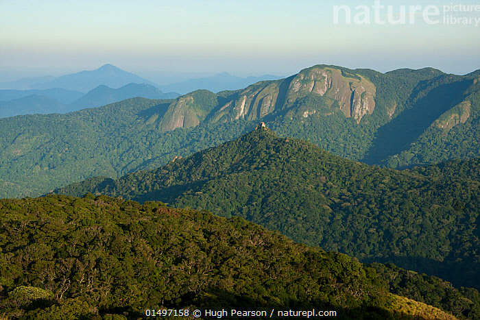 Stock photo of Aerial view of Mount Mabu, Mozambique, May 2011 ...