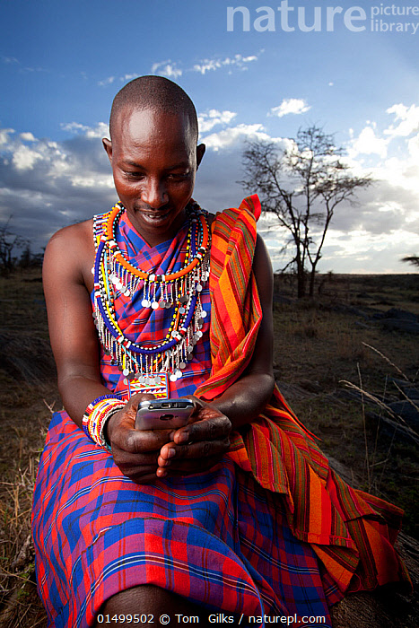 Stock photo of Maasai man using mobile phone, Mara region, Kenya ...