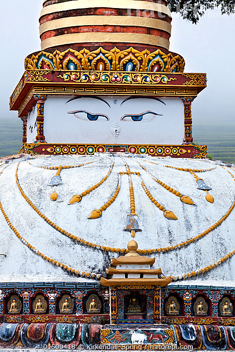 Tibetan Stupa