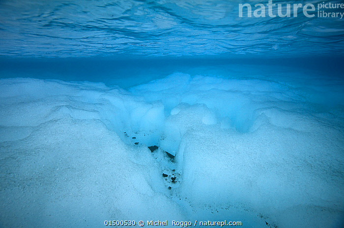 Stock photo of Underwater view of meltwater channels and ponds, with ...