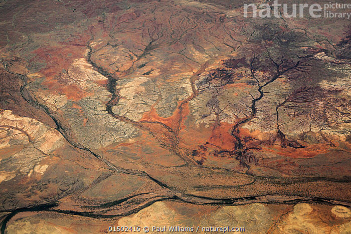 Stock photo of View from plane of dried rivers, Nullagine, Western ...