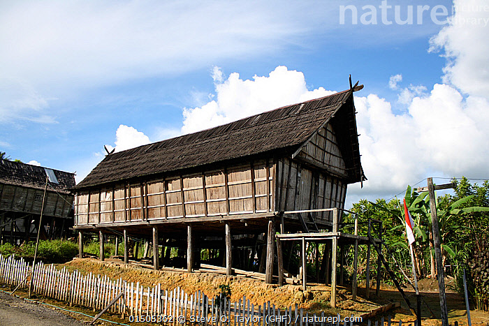 Stock photo of Family traditional Dayak house, Southern Kalimantan ...
