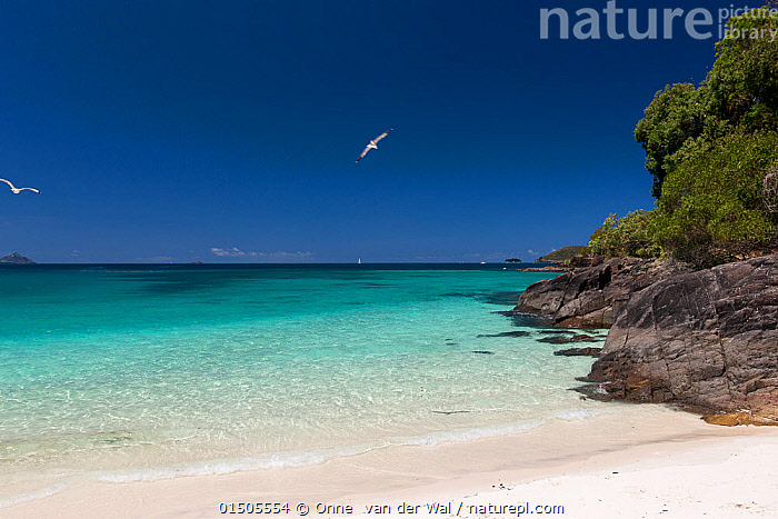 Stock photo of Coast of Hamilton Island, part of the Whitsunday Island ...