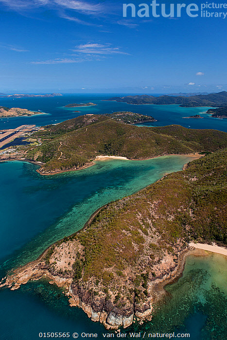 Stock photo of Aerial view of Hamilton Island, Whitsundays, Queensland ...