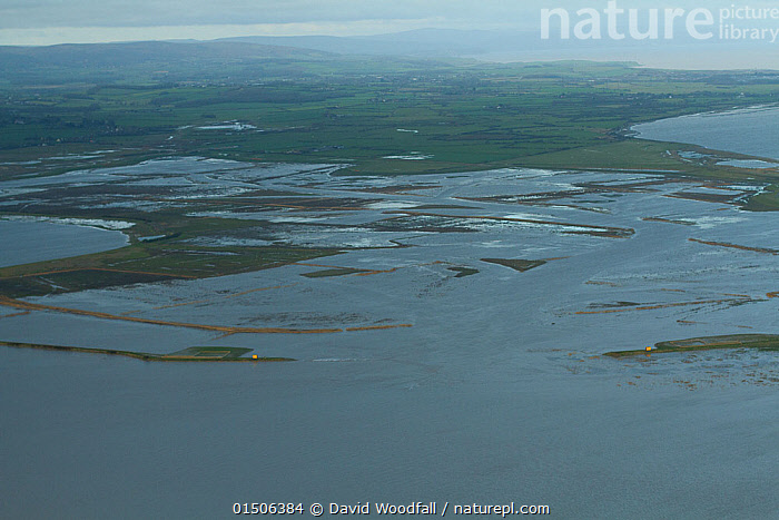 Stock photo of Aerial view of Steart Marshes Wildfowl and Wetland Trust ...
