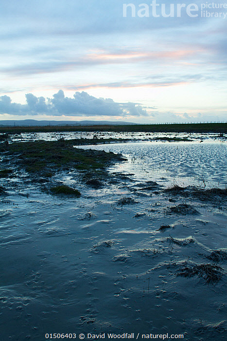 Stock photo of Sunset over Steart Marshes Wildfowl and Wetland Trust ...