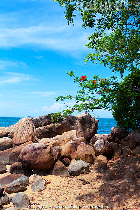 Stock photo of Shore of Lake Malawi, Senga Bay, Malawi. November 2012 ...
