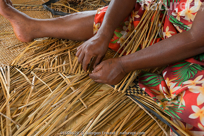 Stock photo of People weaving Kuta mats from fresh water reeds ...