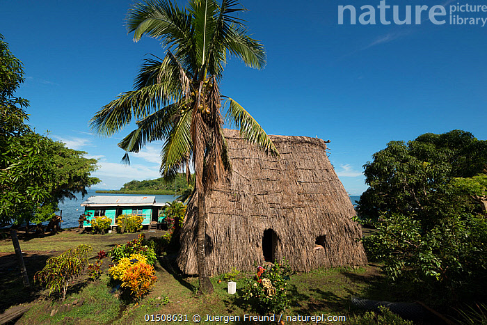 Stock photo of Traditional bure or Fijian hut, Mali Island, Macuata ...