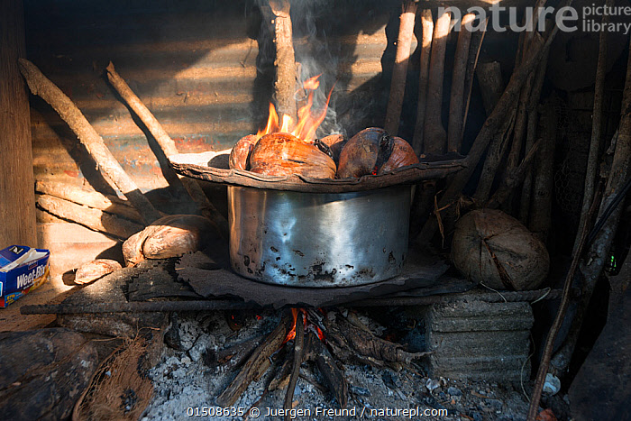 Stock photo of Fijian kitchen with outdoor coal fired oven, Mali Island ...