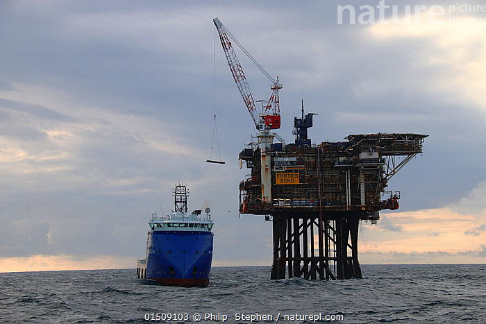 Stock photo of Supply vessel 'Sea Falcon' offloading cargo at the ...