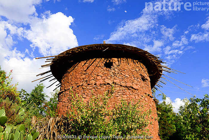 Stock photo of Traditional round mud house, Lalibela. UNESCO World ...