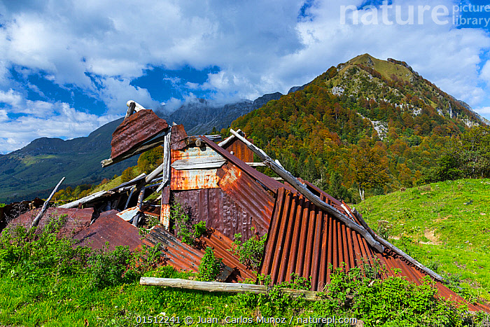 Stock photo of Collapsed farmhouse made of corrugated iron, Triglav ...