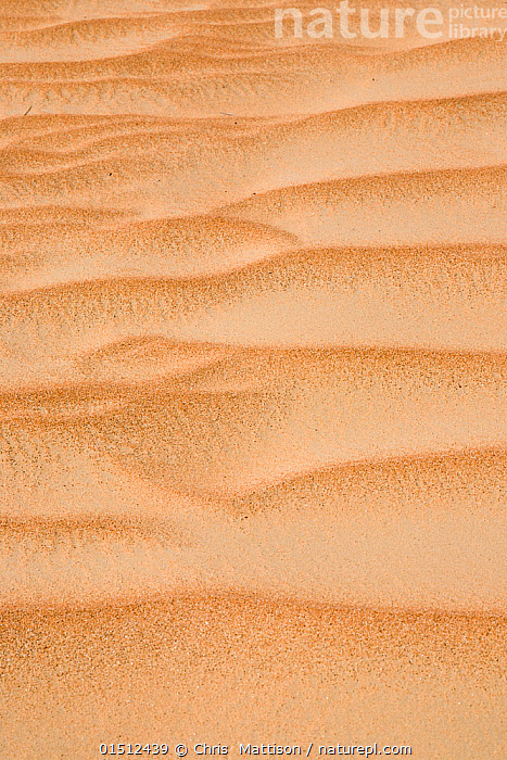Stock photo of Windblown sand pattern in dunes. Arabian Desert, Dubai ...