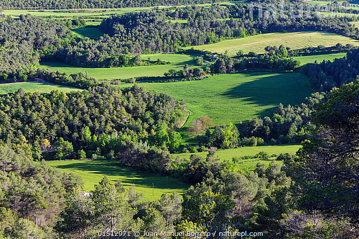 Stock photo of Landscape of fields in Riera de la Goda Area of Natural ...