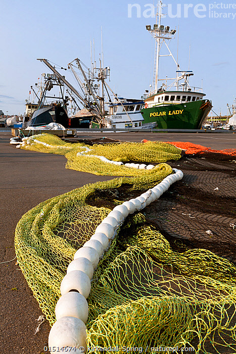 Stock photo of Fishing fleet docked at Fisherman's Terminal on Salmon ...