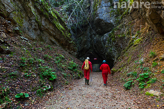 Stock photo of People entering Cross Cave (Krizna Jama), Cross Mountain ...