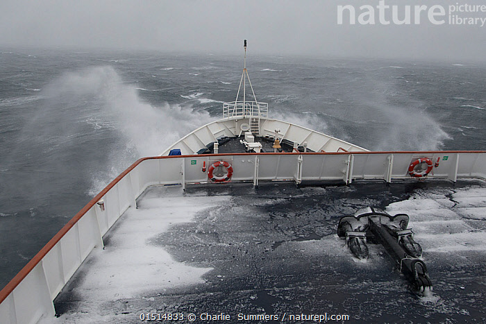 Stock photo of Waves break over the bow of the Clipper Adventurer, a ...