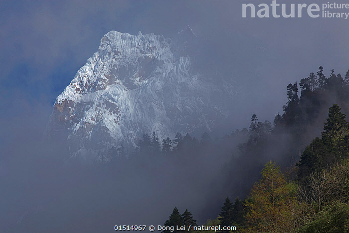 Stock photo of Mount Gyala Peri in mist, Yarlung Zangbo Grand Canyon ...