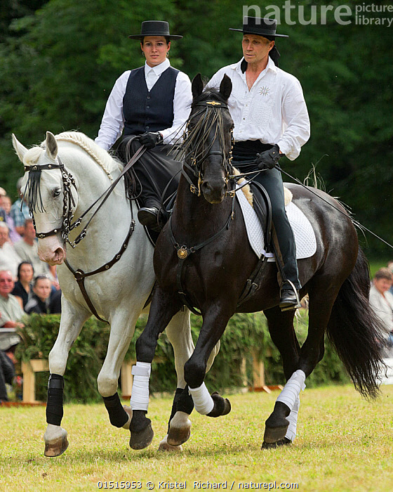 Stock photo of Two riders, dressed in Spanish period costume, ride two ...