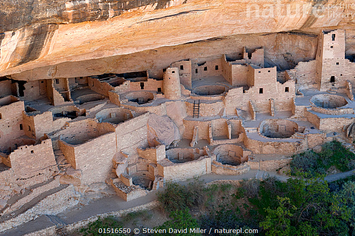 Stock photo of Cliffs Palace, a village built against the soft ...