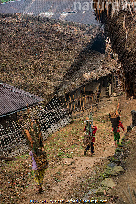Stock photo of Konyak Naga Mongnyakshu Village, .Mon district.Nagaland ...