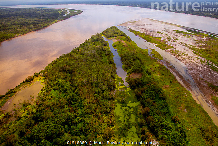 Stock photo of Aerial view of Amazon River, with settlements and ...