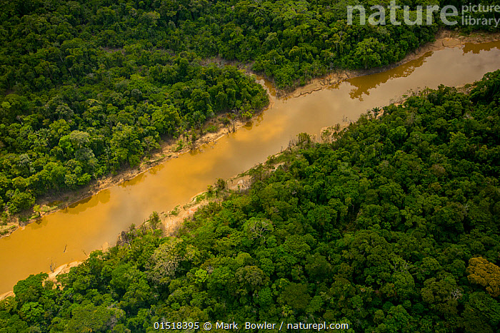 Stock photo of Aerial view of Amazon Rainforest, and the Yavari Miri ...