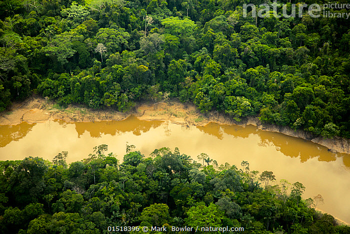 Stock photo of Aerial view of Amazon Rainforest, and the Yavari Miri ...