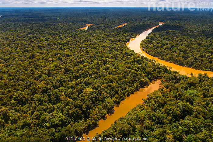 Amazon River Aerial View