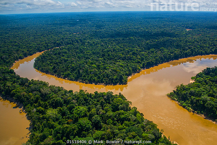Stock photo of Aerial view of Mouth of the Yavari-Mirin River entering ...