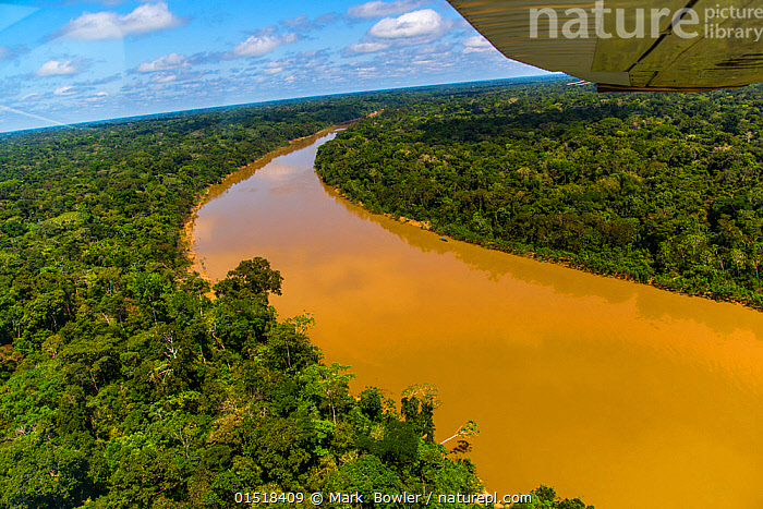 Stock photo of Aerial view of Amazon Rainforest and the Yavari River ...
