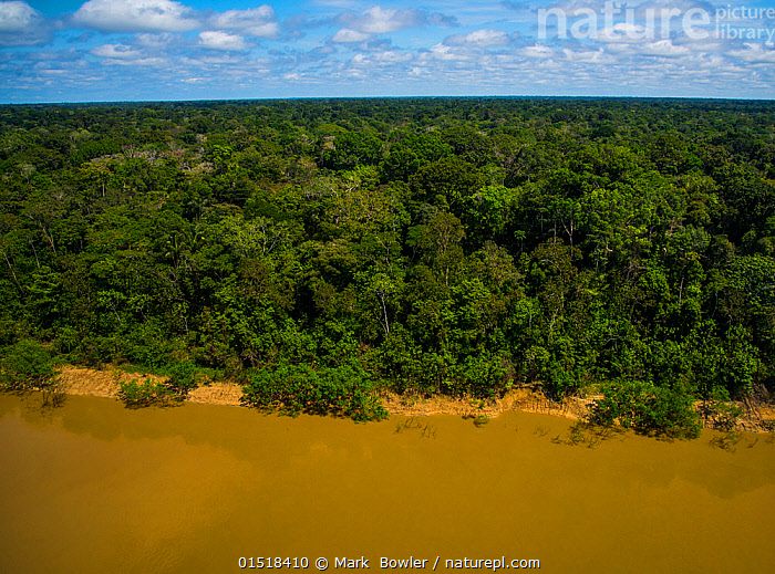 Stock photo of Aerial view of Amazon Rainforest and the Yavari River ...
