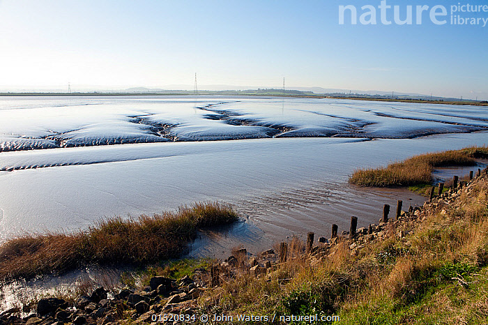 Stock photo of Tidal mudflats exposed on the banks of the River Parrett ...