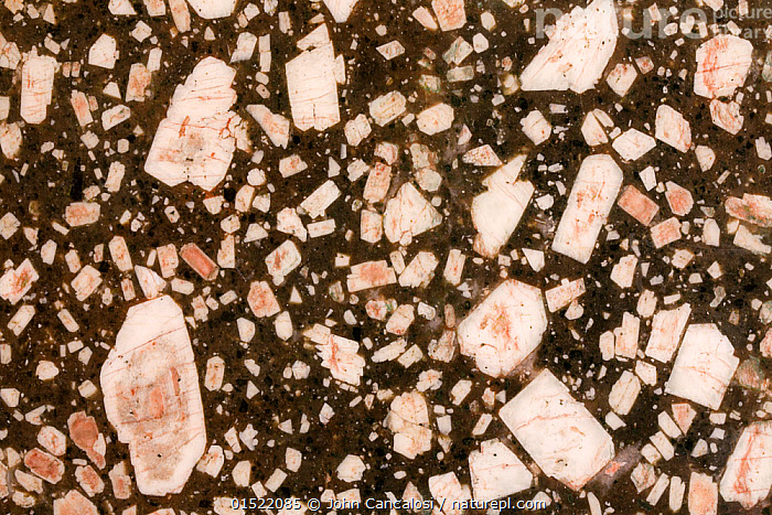 Stock photo of Bannockburn porphyry rock (Matachewan Porphyry) an ...