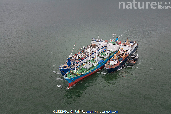 Stock photo of Fish processing boat during Sockeye salmon (Oncorhynchus ...