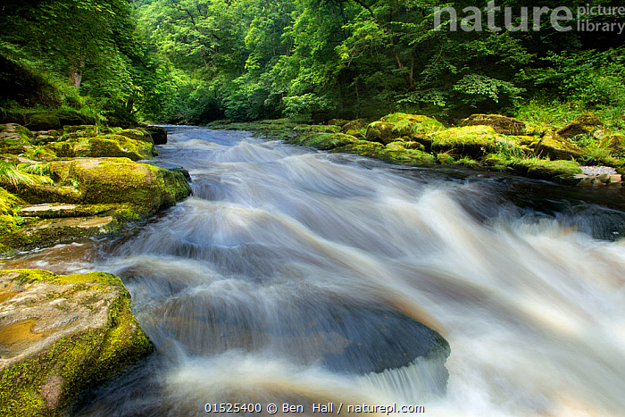 Stock photo of The Strid, River Wharfe, slow shutter speed showing ...