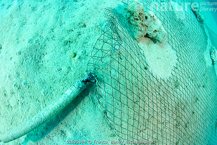 Stock photo of Electrode providing current to the structure of bio-rock ...